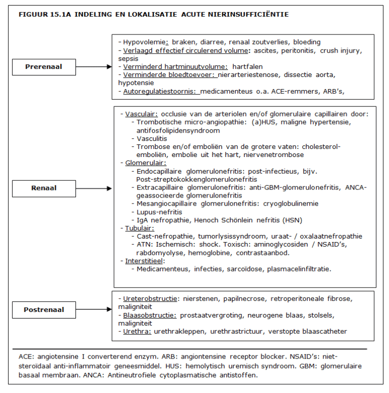 Acute Nierinsufficiëntie indeling en lokalisatie - Internisten